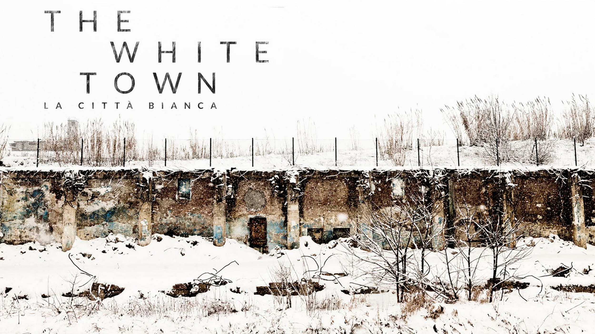 The White Town - Contrasto