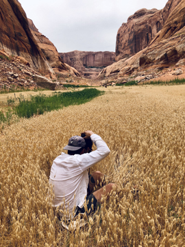 Nicholas Albrecht - Contrasto